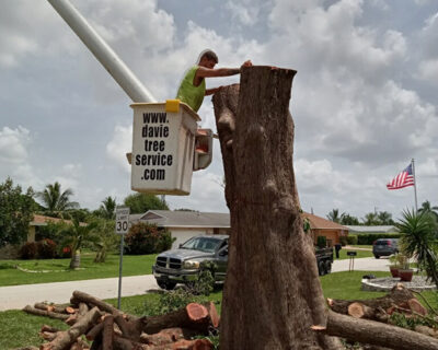 Davie Tree Service